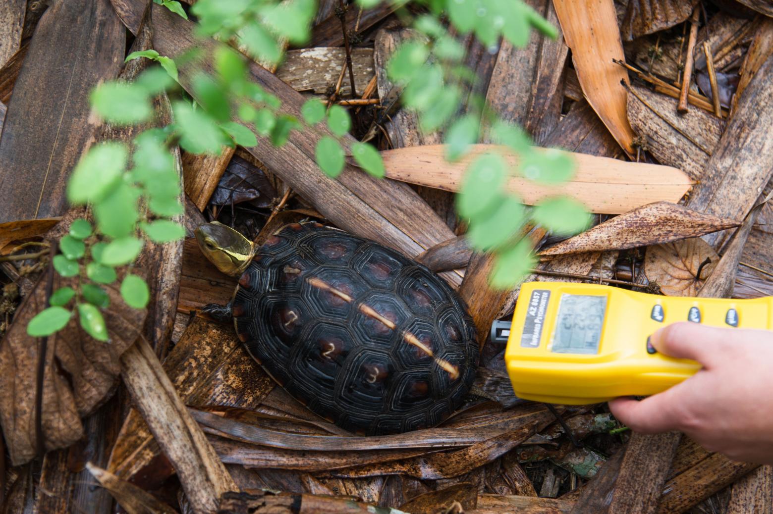 The Ecotourism of Reservoirs Drives Habitat Conservation and Ancient ...