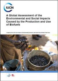 A global assessment of the environmental and social impacts caused by ...