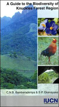 A guide to the biodiversity of Knuckles forest region - GSAP SKILLS ...