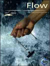 Flow : the essentials of environmental flows - GSAP SKILLS Online ...