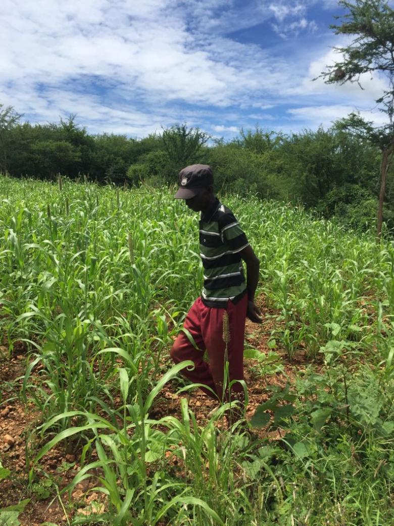 Promoting Principles of Ecosystem-based Adaptation in Conservation ...