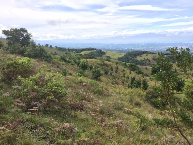 The Agua Tica Water Fund and LandScale: Achieving integrated watershed ...