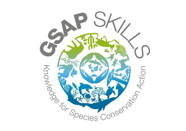 About GSAP SKILLS - GSAP SKILLS Online Knowledge Platform