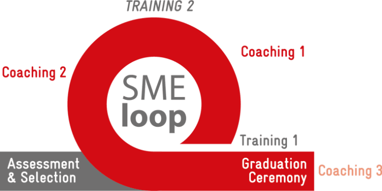 SME Training and Coaching Loop - GSAP SKILLS Online Knowledge Platform