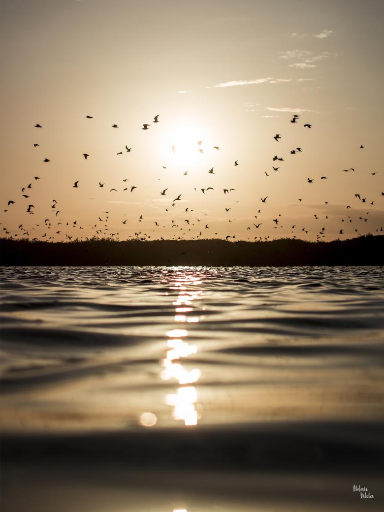 Manglares de San Pedro de Vice: Un referente en gestión de humedales en ...